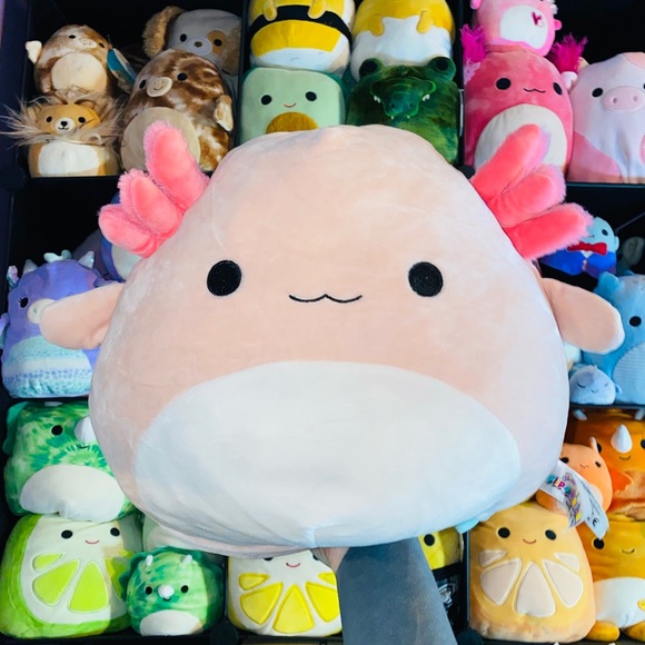 Squishmallows | Toys | Squishmallows Archie Reina Flip A Mallow | Poshmark